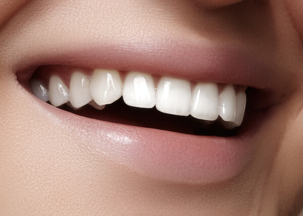 The 5 Types Of Teeth